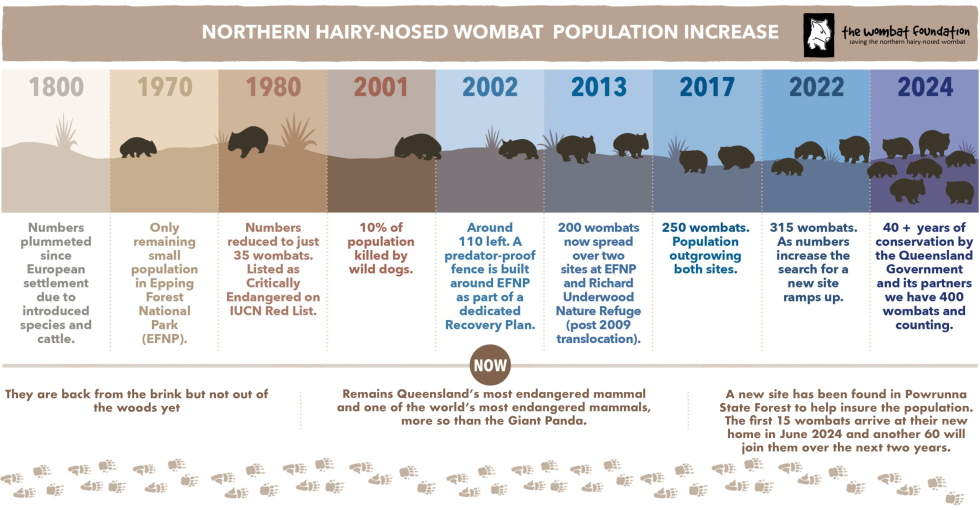The Wombat Foundation | Saving the northern hairy-nosed wombat